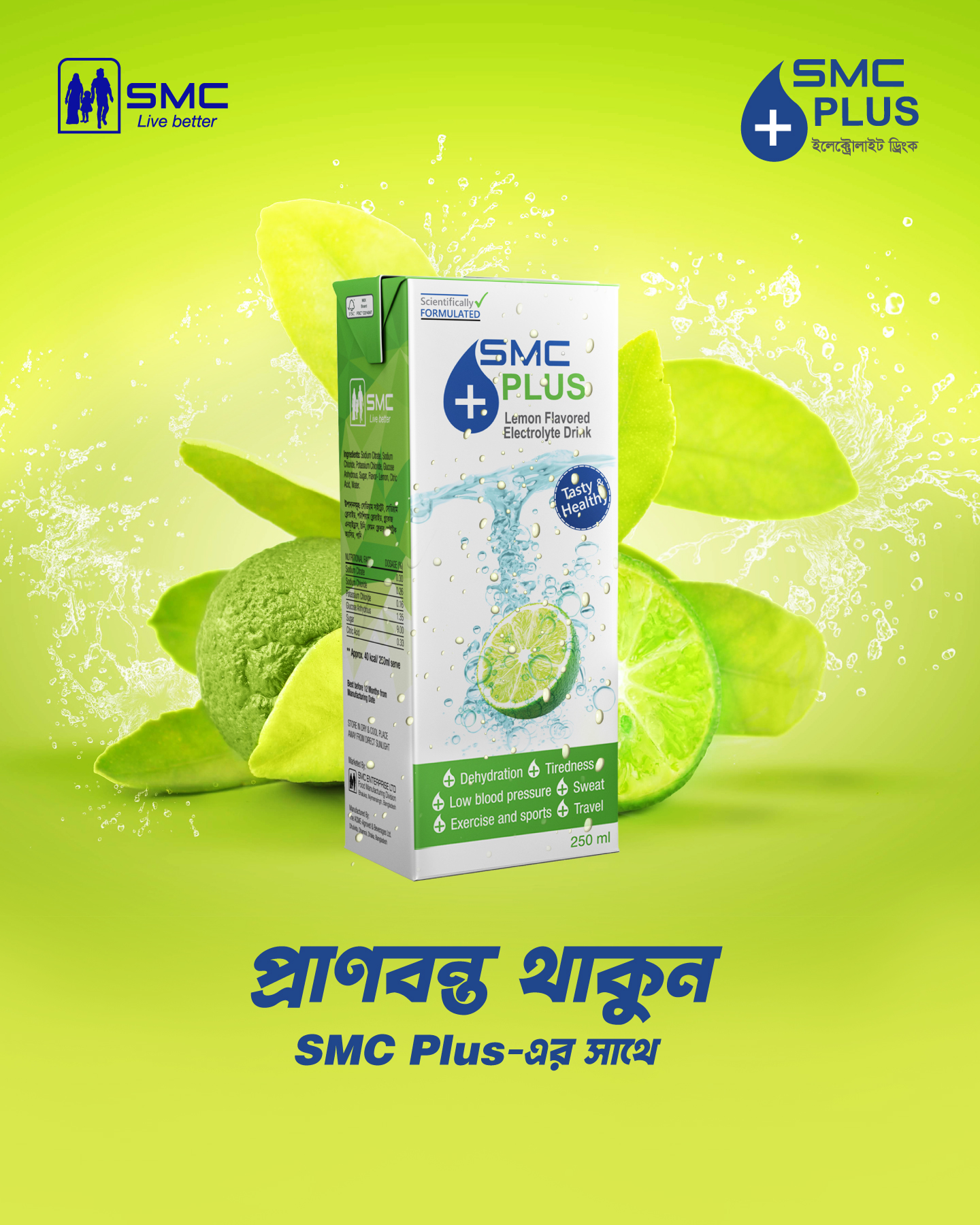 SMC PLUS Lemon Flavor Electrolyte Drink 250ml | ubicaciondepersonas ...